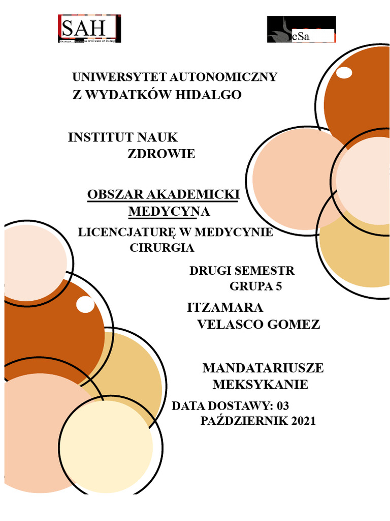 Félix María Zuloaga | PDF