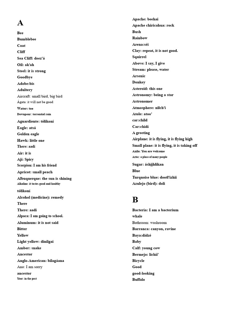 Navajo Dictionary - Spanish | PDF