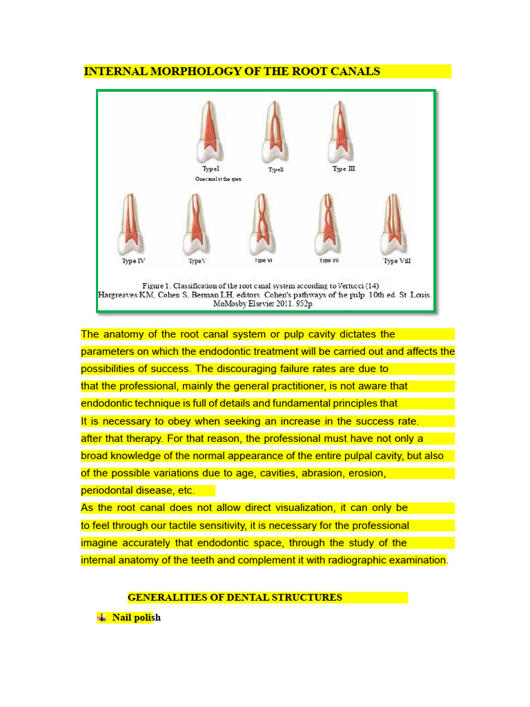Endodontics Internal Morphology of The Root Canals | PDF | Dental ...
