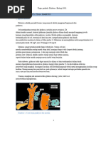 Insert SANSULIN Log-G | PDF
