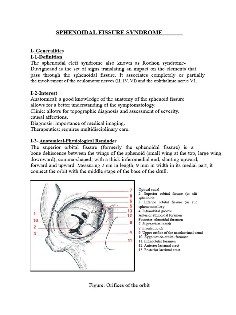 Sphenoidal Fissure Syndrome | PDF | Human Anatomy | Nervous System