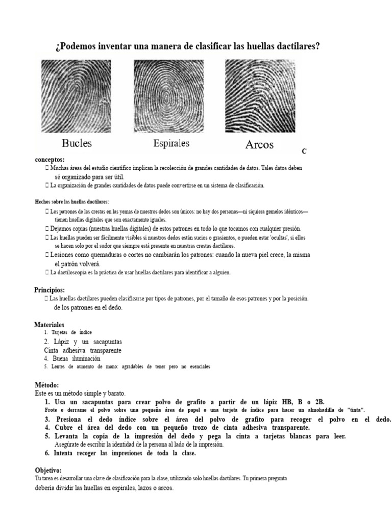 Clasificación de huellas dactilares | PDF | Huella dactilar