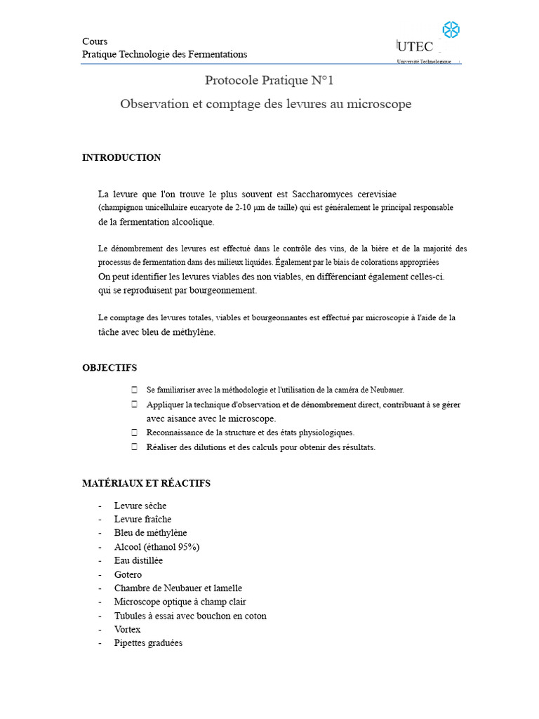 Observation des Levures au Microscope | PDF | Levure | Microscope
