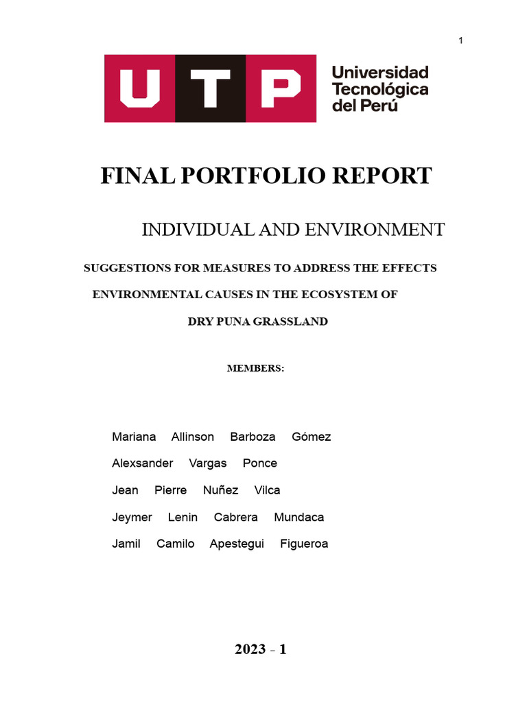 Final Portfolio Report Individual and Environment | PDF | Environmental ...