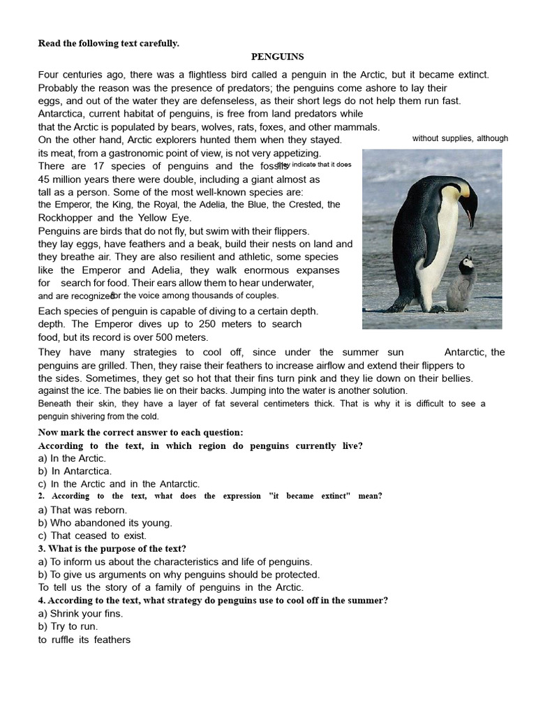Read Carefully The Following Text | PDF | Penguin | Birds