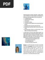 Anatomía de los Músculos Paravertebrales | PDF | Tejido suave ...