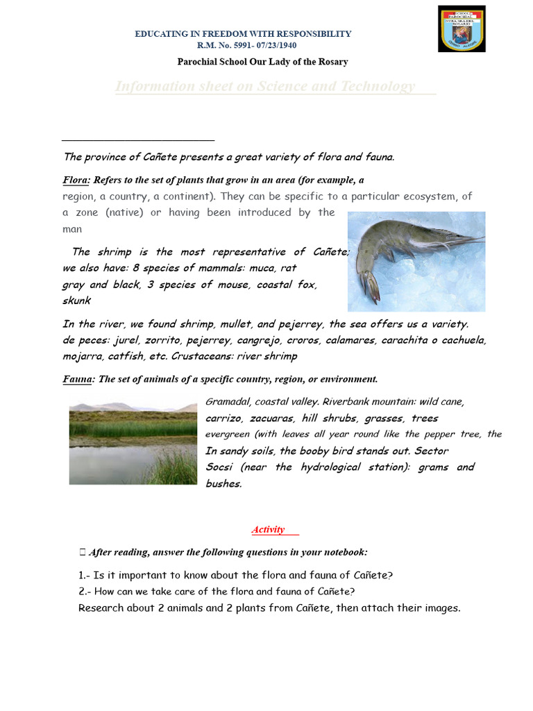 Information Sheet - Flora and Fauna | PDF