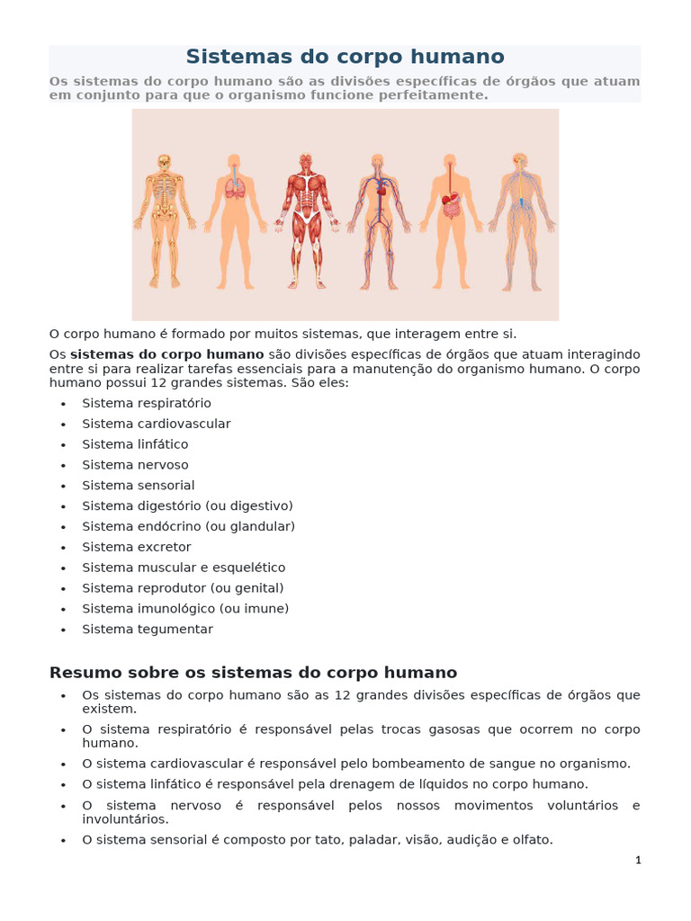 Sistemas do Corpo Humano: Funções e Tipos | PDF | Corpo humano ...