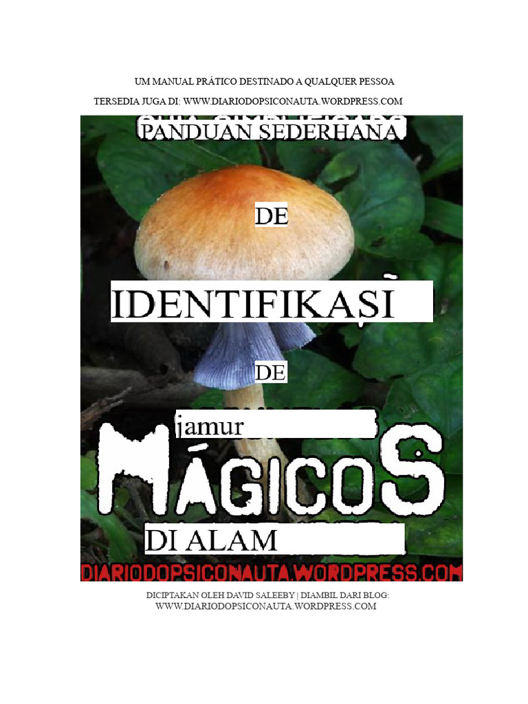 Panduan Sederhana Untuk Identifikasi Jamur Magic Di Alam David Saleeby ...