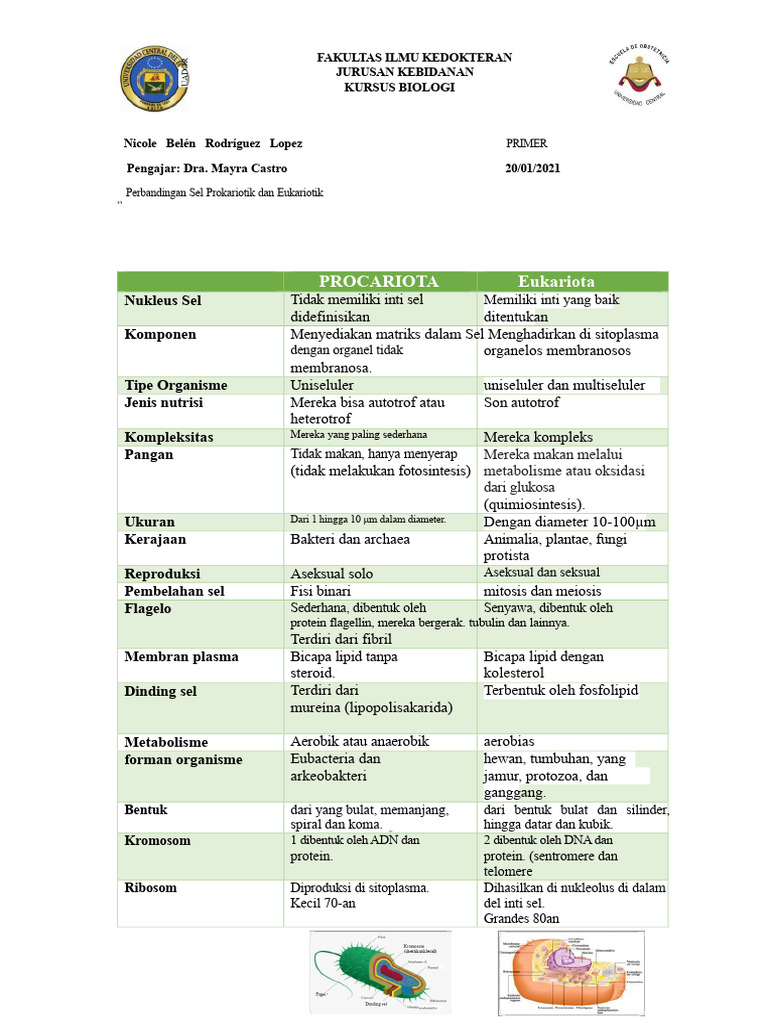 Perbandingan Sel Eukariot Dan Prokariot | PDF