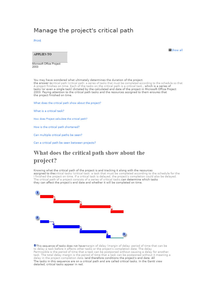 Managing Critical Path in MS Project | PDF