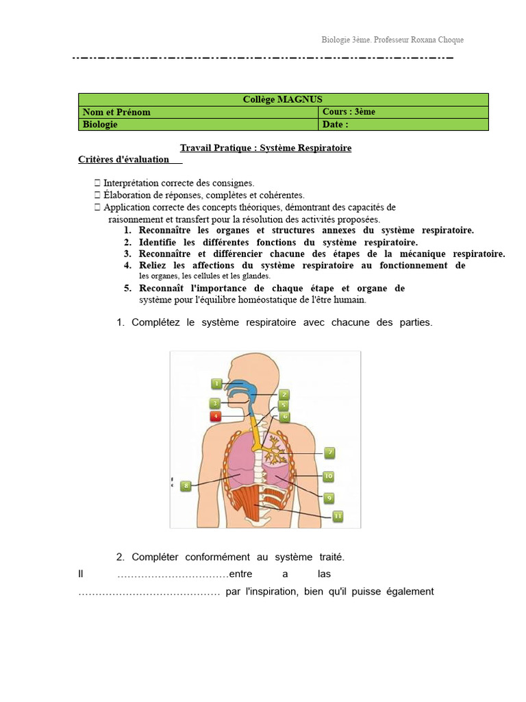 Système Respiratoire : Cours 3ème Biologie | PDF | Poumon | Système ...