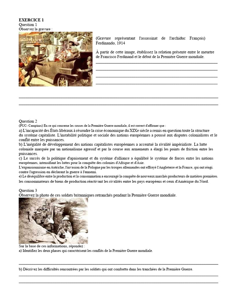 Causes et impacts de la Première Guerre mondiale | PDF | Première ...