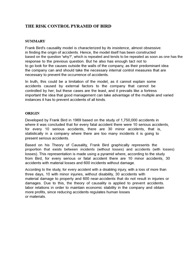 Understanding Bird's Risk Control Pyramid | PDF | Accidents | Risk