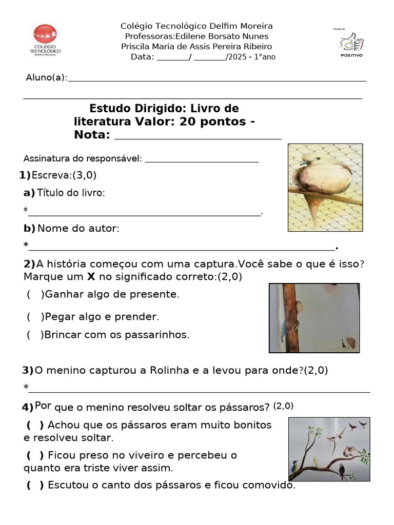 Est Dirig - Livro O Menino e a Rolinha | PDF