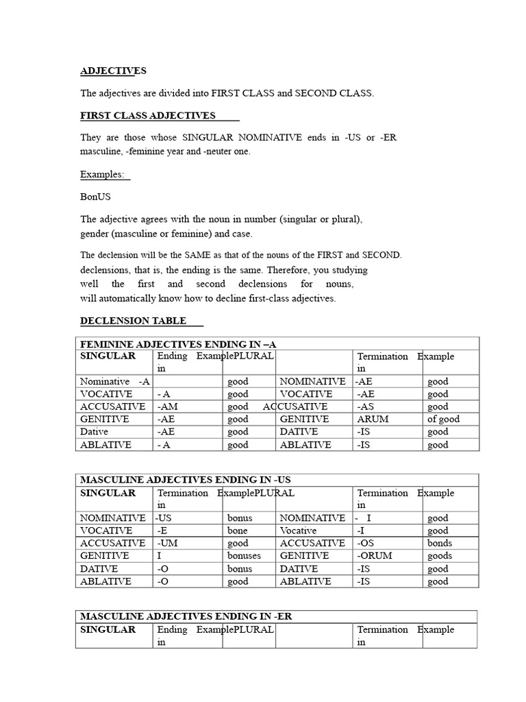 Understanding Latin Adjectives and Prepositions | PDF | Grammar | Syntax