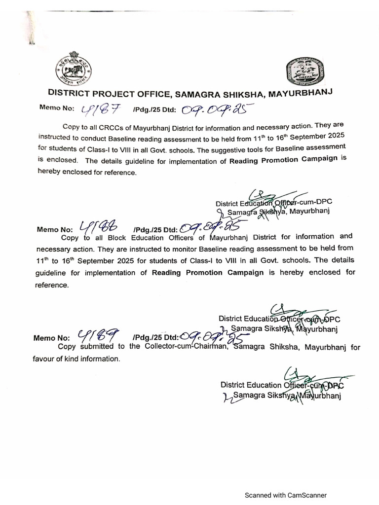 Reading Campign - Baseline Assessment | PDF