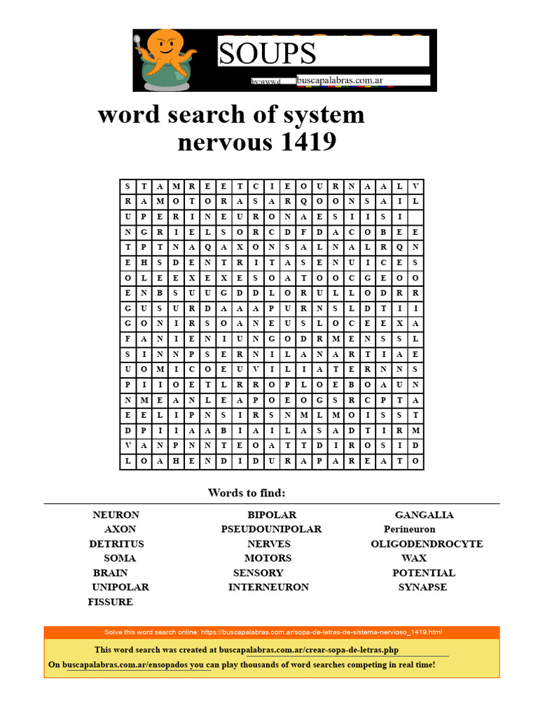 System Nervous Word Search Puzzle | PDF | Axon | Neuron