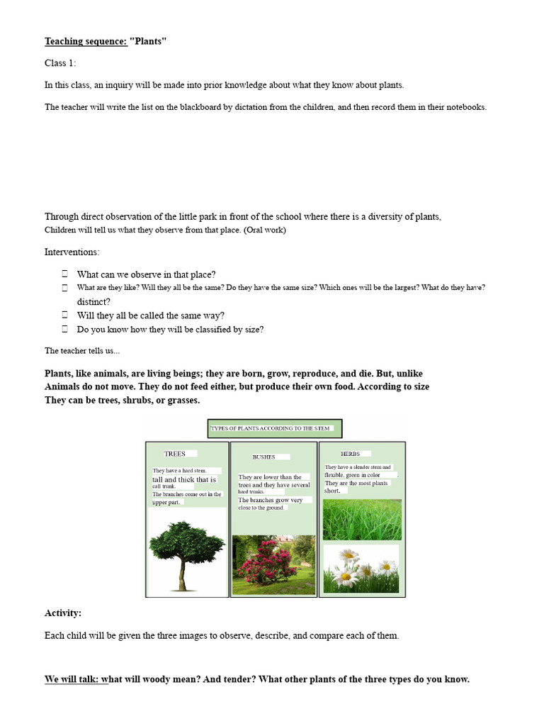 Didactic Sequence The Plants and Their Parts 1st Year | PDF | Plants ...