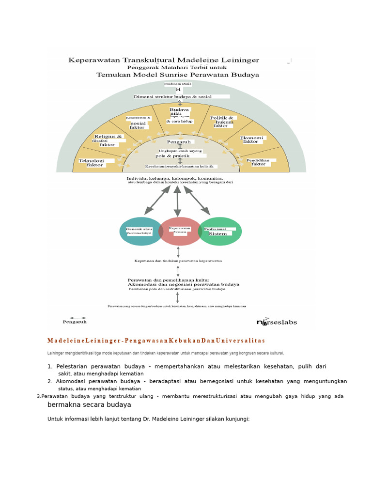 Handout Madeleine Leininger | PDF