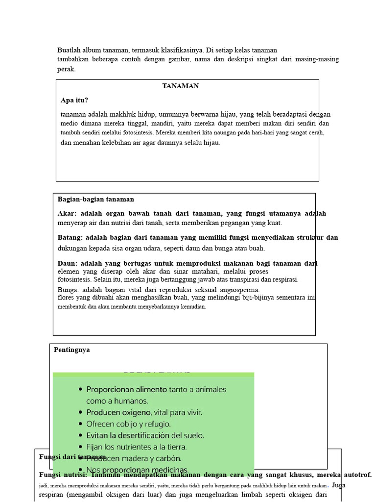 Album Klasifikasi Tanaman Lengkap | PDF