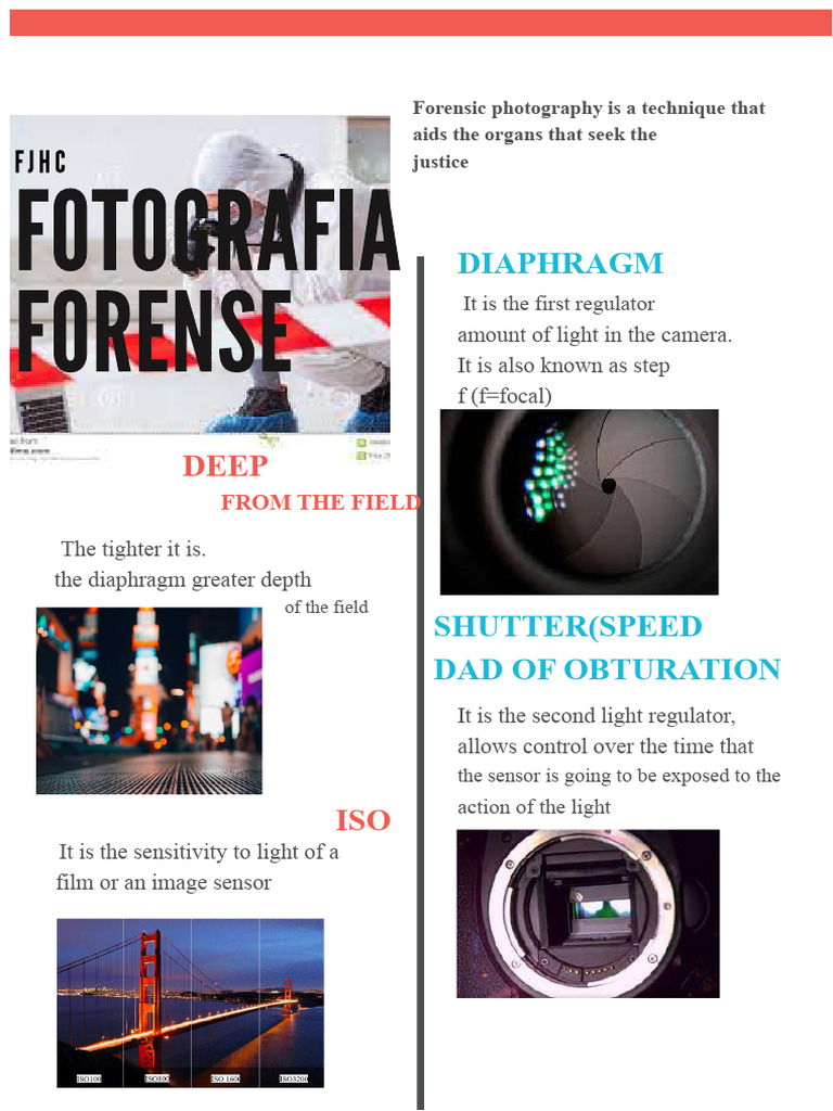 Forensic Photography Techniques Explained | PDF