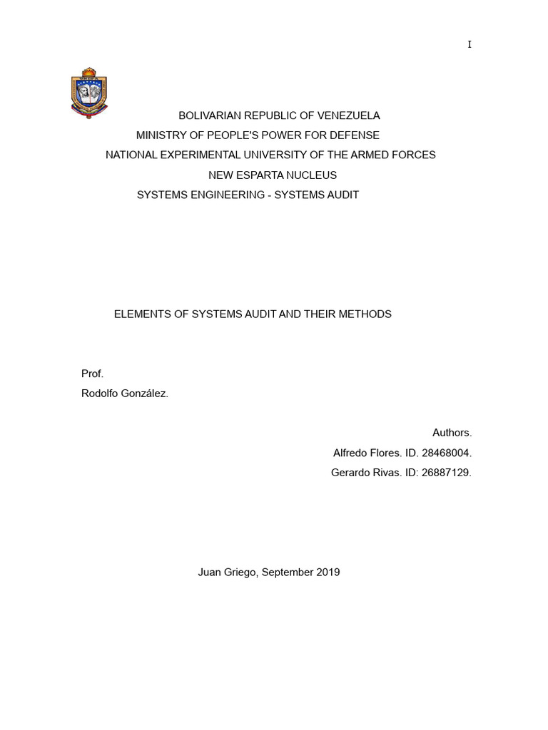 Systems Audit Elements and Methods Guide | PDF | Audit | Methodology