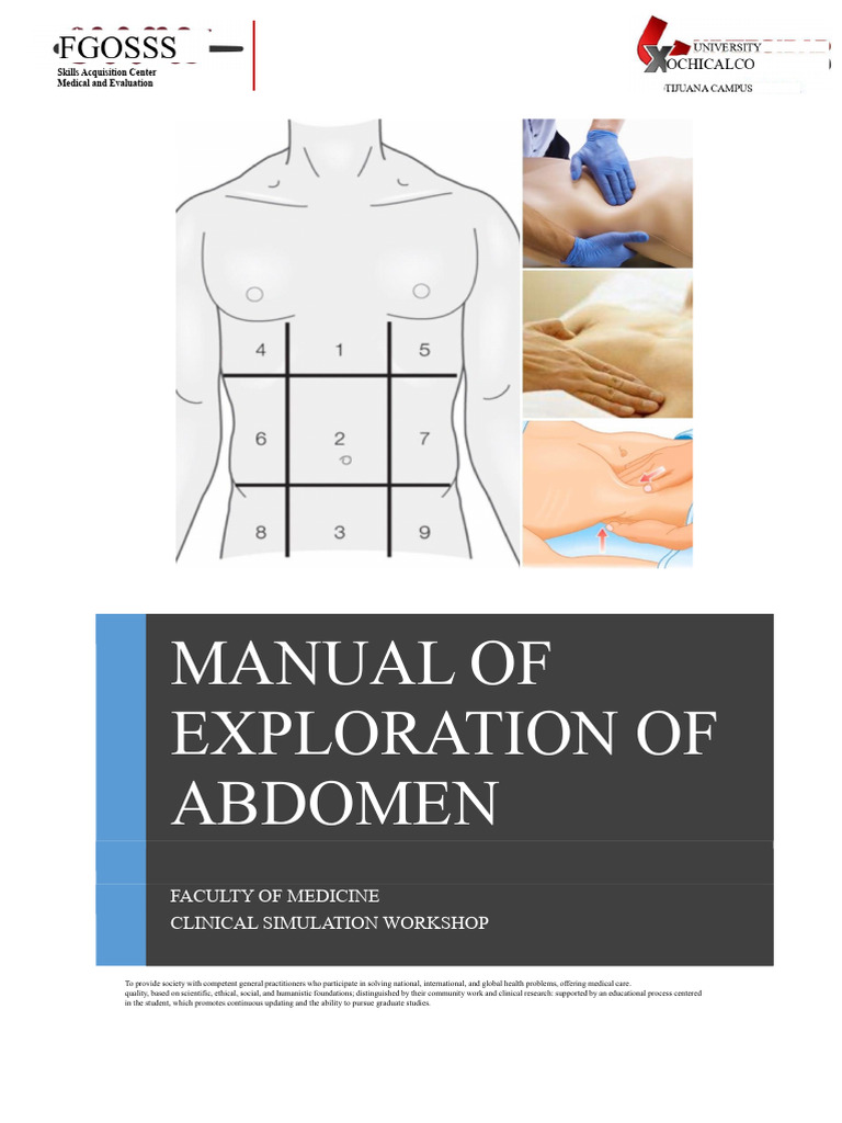 Abdominal Exploration Techniques Manual | PDF | Stomach | Liver
