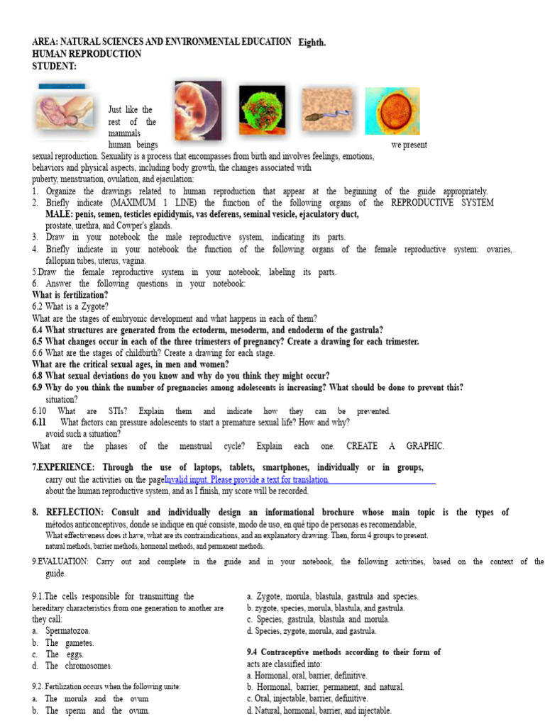Human Reproduction Workshop. | PDF | Human Reproduction | Reproductive ...