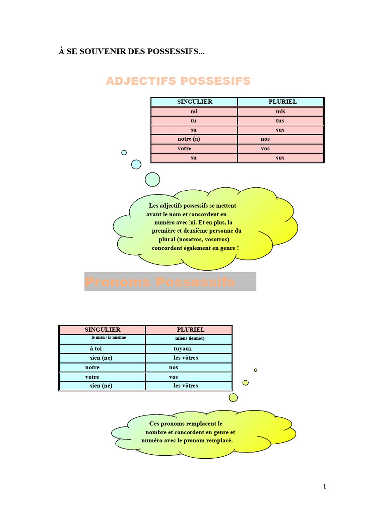 Les Possessifs | PDF | Pronom | Nombre grammatical