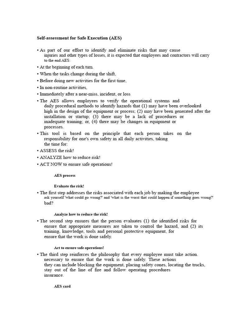 Self-Assessment For Safe Execution (AES) : at The Beginning of Each ...