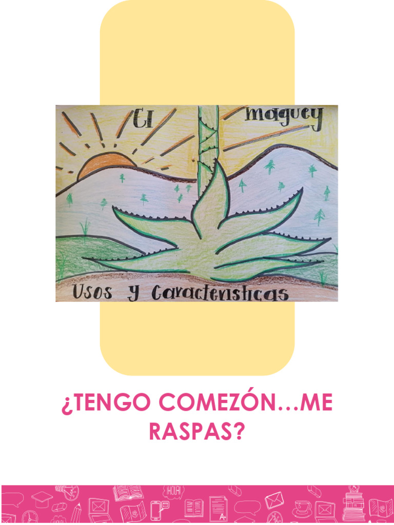 El Mague, Usos y Características | PDF