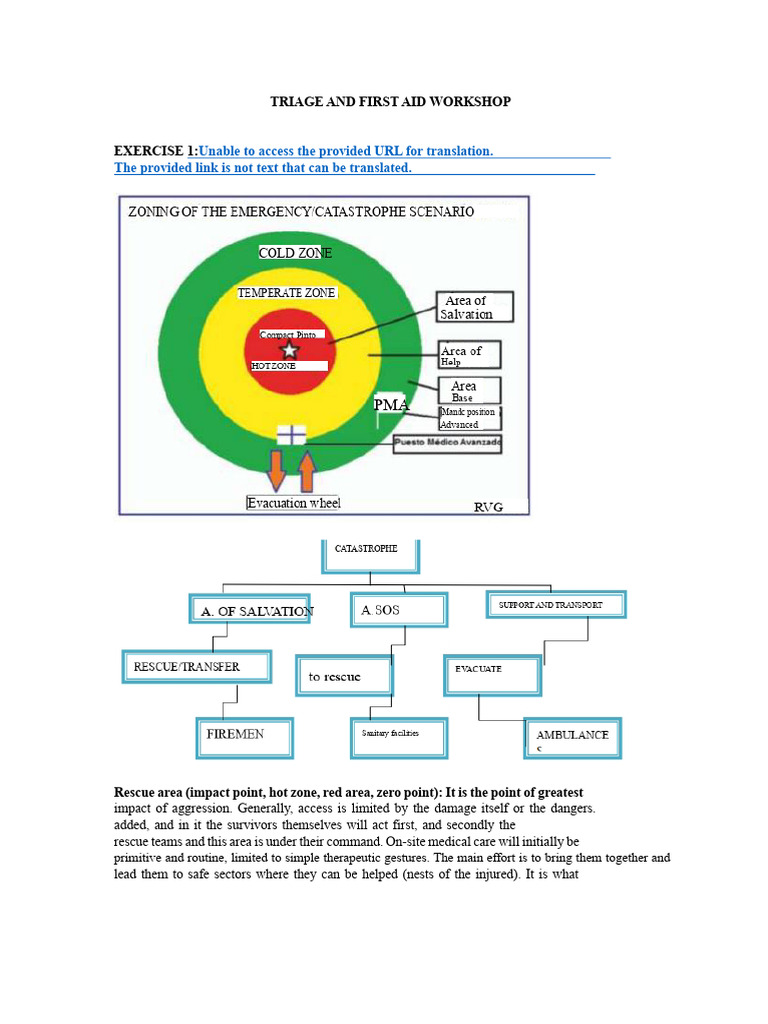 Triage and First Aid Workshop Guide | PDF | Cardiopulmonary ...