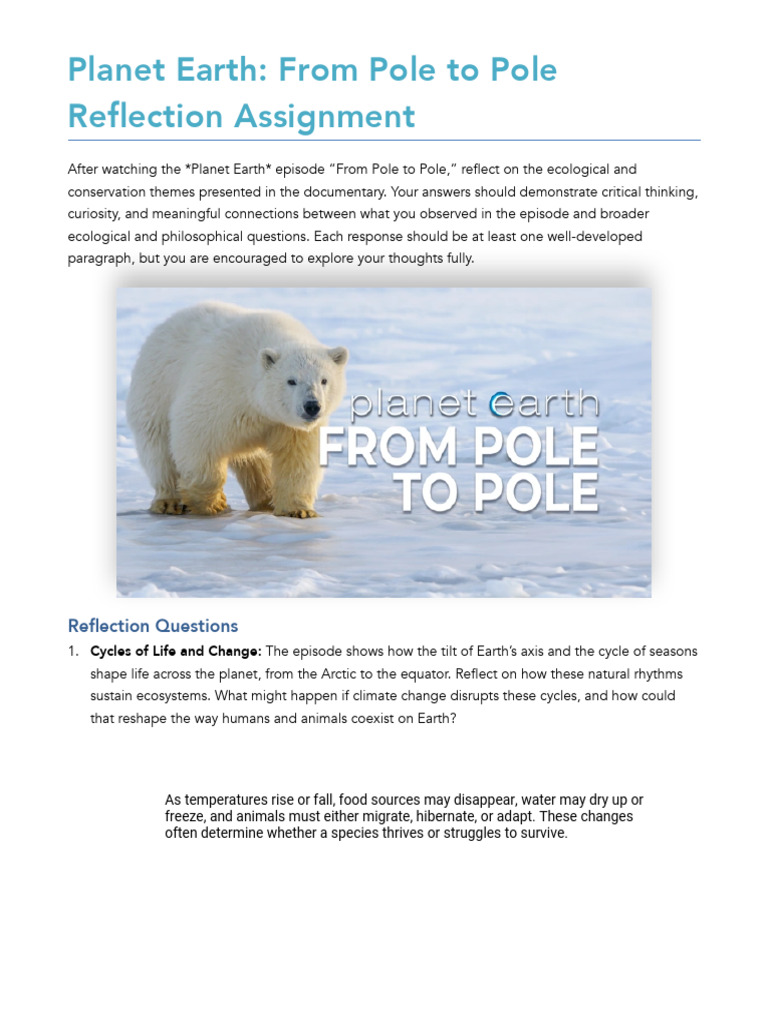 Reflections on Earth's Ecosystems | PDF | Biodiversity | Earth