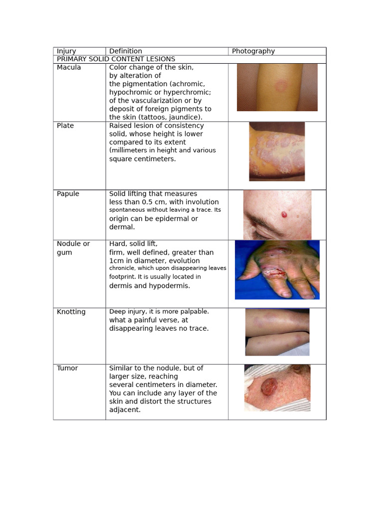 Skin Lesions TMosqueraJANDRADE | PDF | Skin | Medical Specialties