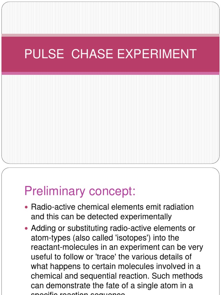 Pulse Chase Experiment | PDF | Proteins | Radioactive Decay