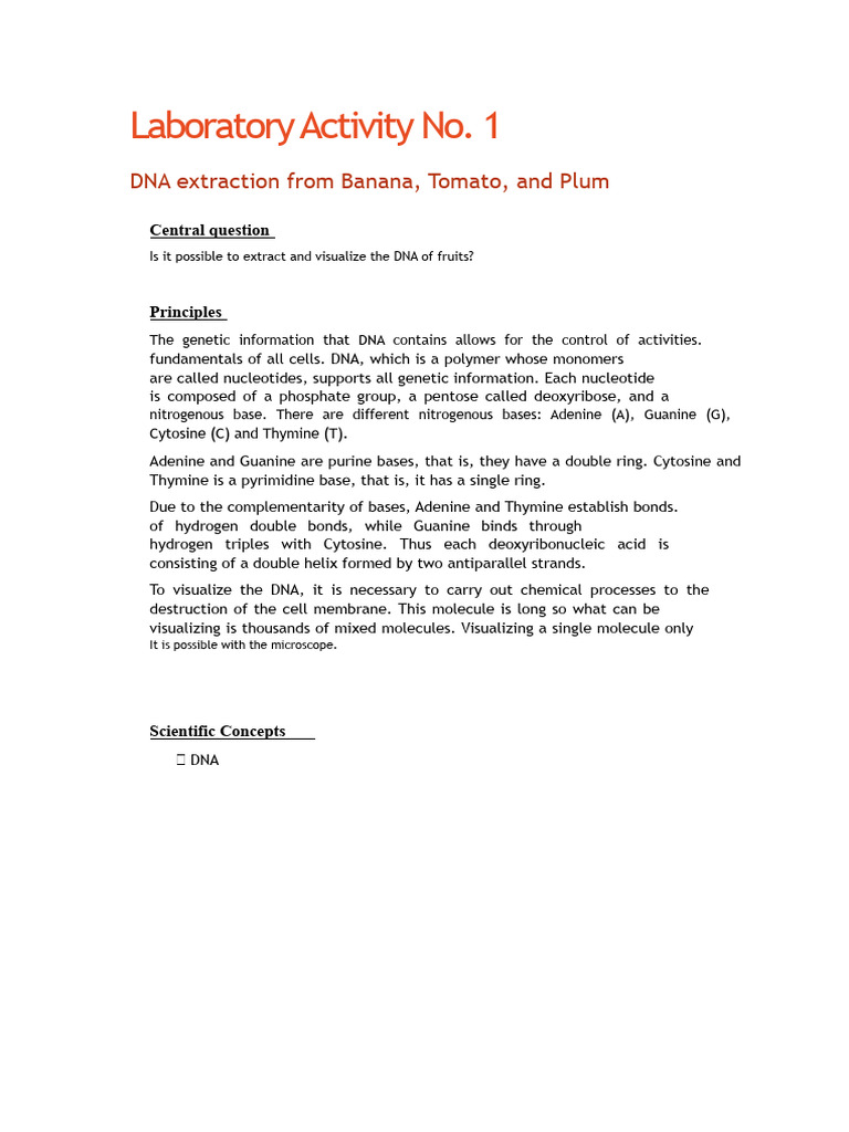 1st Laboratory Activity - DNA Extraction From Banana, Tomato, and Plum ...