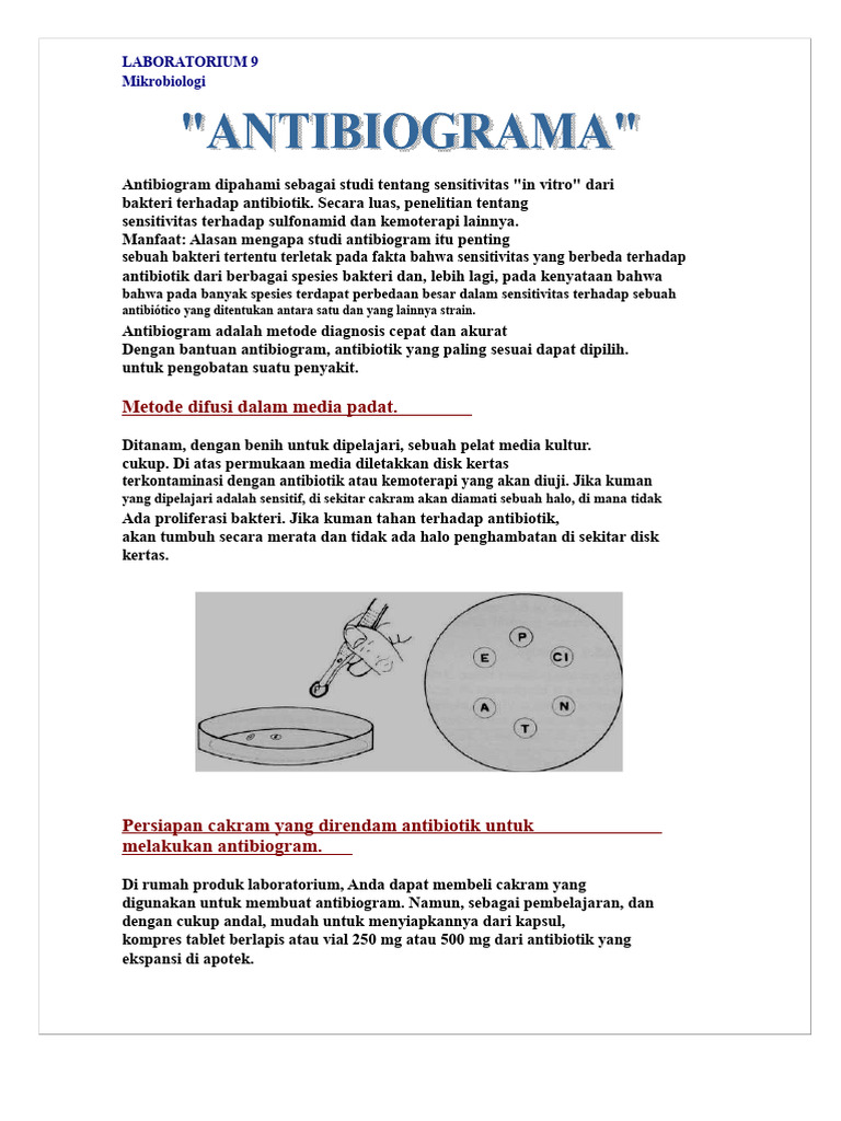 Antibiogram Print | PDF