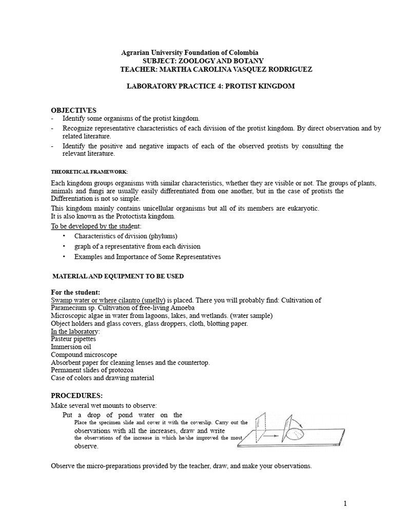 Laboratory Practice 4 Protists | PDF | Biology | Organisms