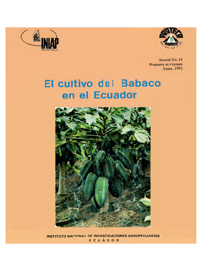 Babaco Cultivation Manual Iniap | PDF