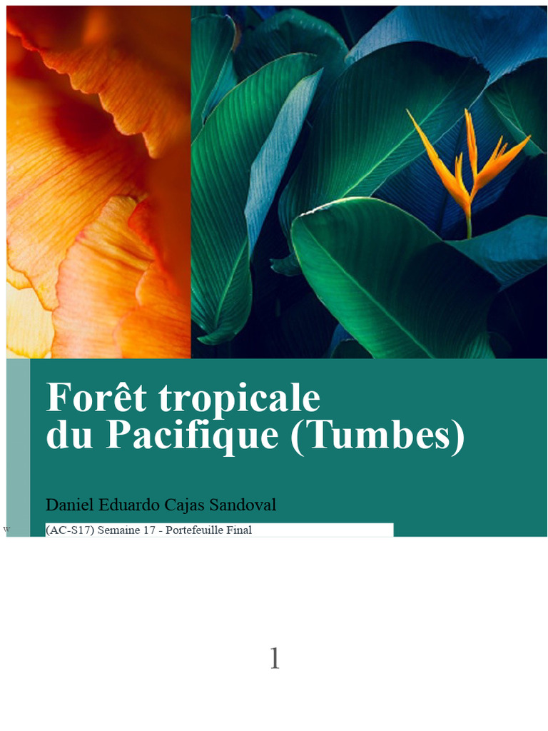 Forêt tropicale du Pacifique : Écosystème et Biodiversité | PDF ...