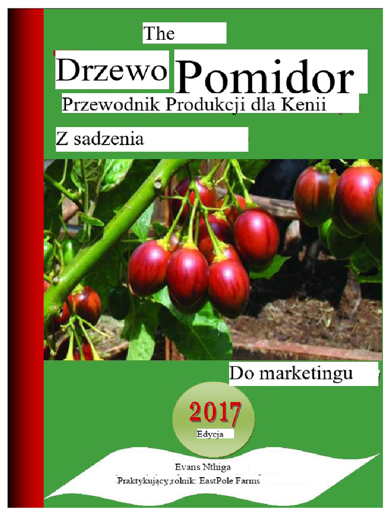 Przewodnik Po Uprawie Pomidora Drzewnego | PDF