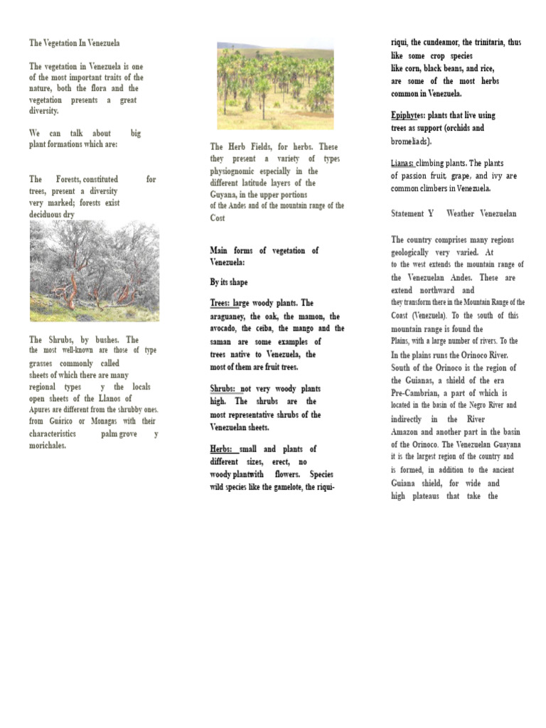Vegetation Diversity in Venezuela | PDF | Venezuela | Forests