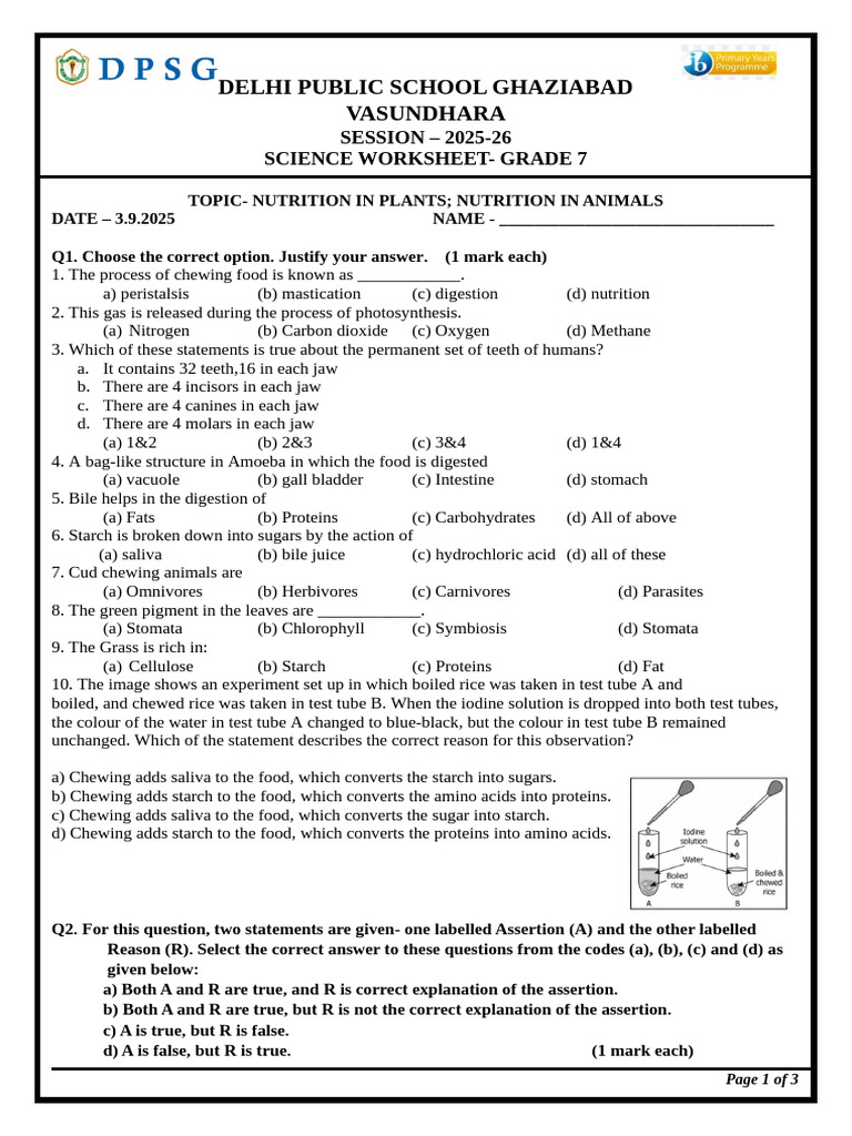 Grade 7 Science Worksheet: Nutrition | PDF | Digestion | Foods