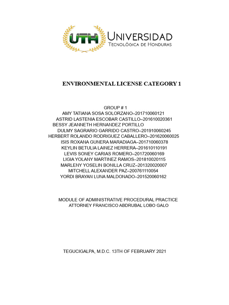 Task 1 Group 1 - Environmental License Category 1 | PDF | Environmental ...