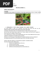 KPCOFGS Animal Classification Guide | PDF | Coyote | Canis