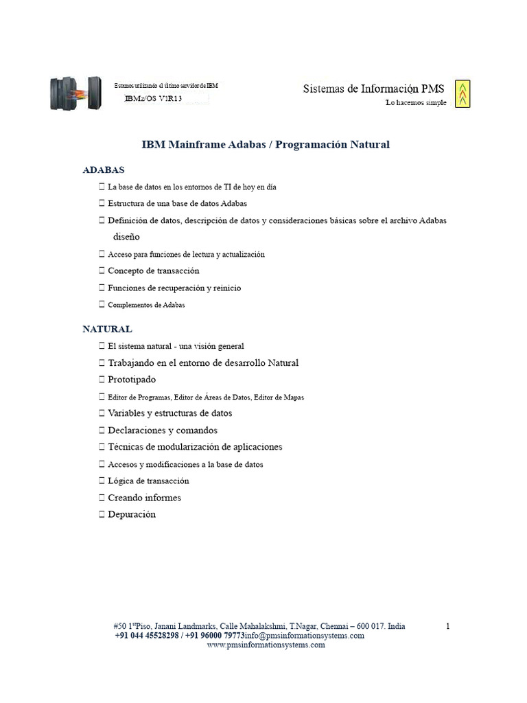 Guía de Adabas y Programación Natural | PDF