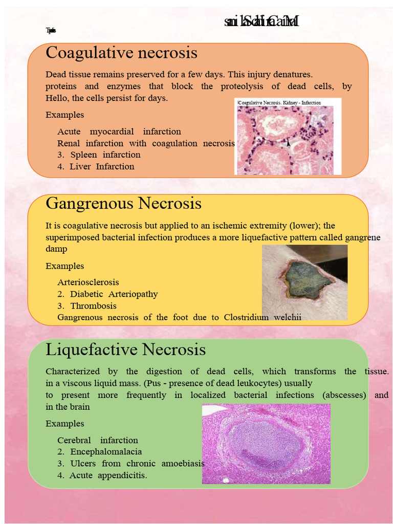 Types and Examples of Necrosis | PDF | Necrosis | Immunology