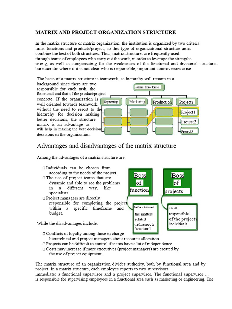 Matrix and Project Structure, Organization Without Limits and Virtual ...