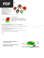 Understanding Wheel and Axle Mechanics | PDF | Friction | Axle